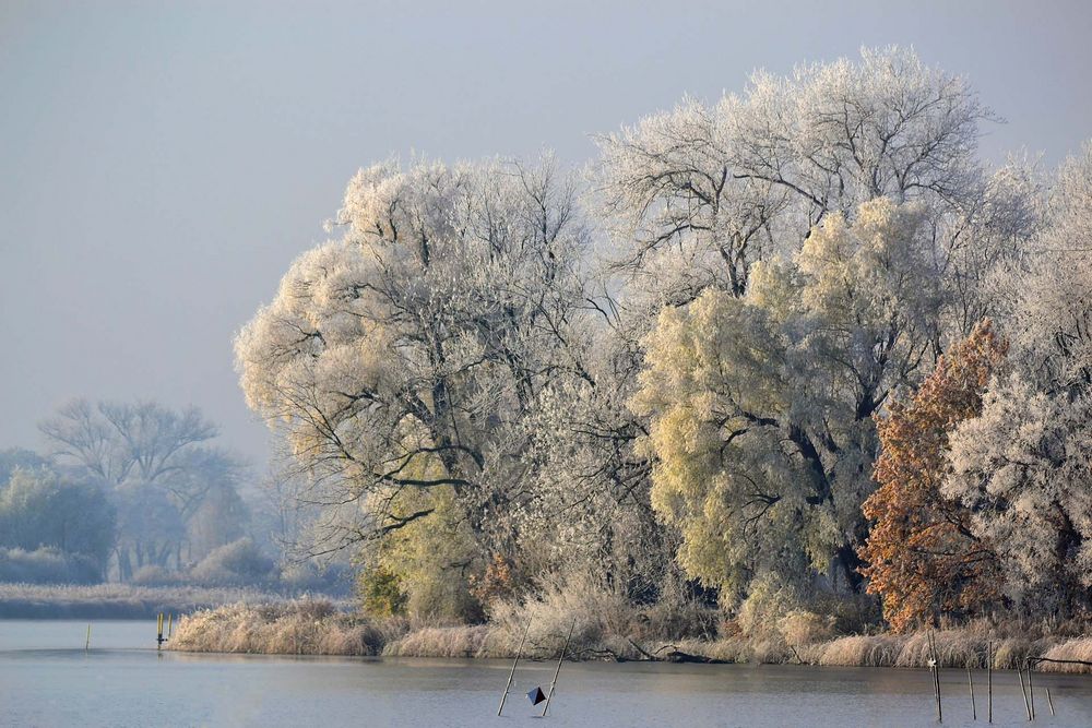 Wintermorgen Foto & Bild | jahreszeiten, winter, natur Bilder auf fotocommunity