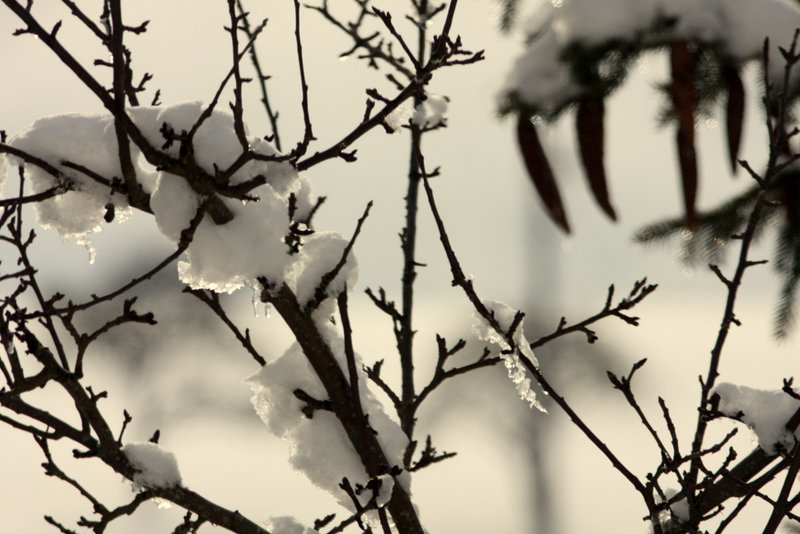 Wintermotive Foto & Bild | jahreszeiten, winter, anna Bilder auf ...