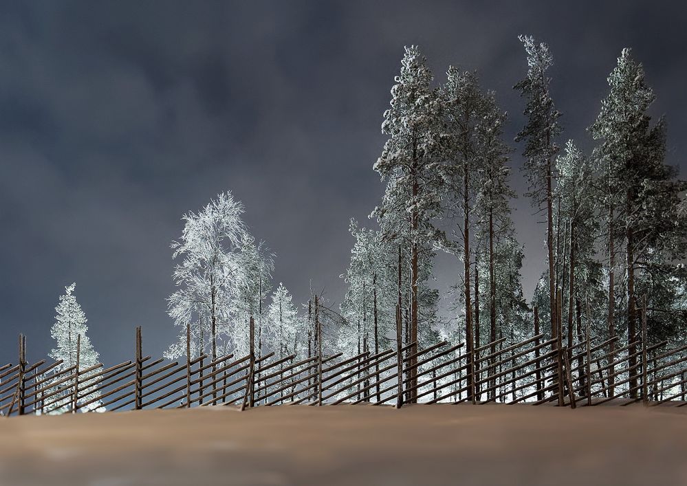 Winternacht 05 Foto & Bild | world, wald, winter Bilder auf fotocommunity