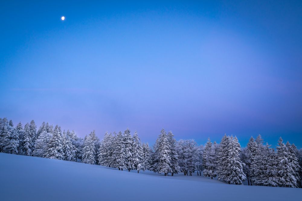 Winternacht Foto & Bild | landschaft, jahreszeiten, winter Bilder auf ...