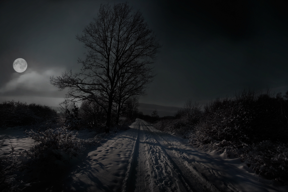 Winternacht im Moor Foto & Bild | mystische orte, specials ...