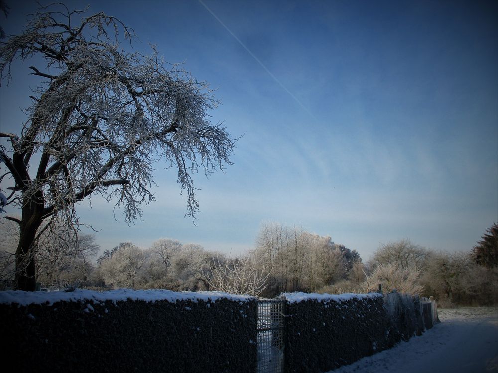 Winterpanorama Foto & Bild | winter, landschaft, jahreszeiten Bilder auf fotocommunity