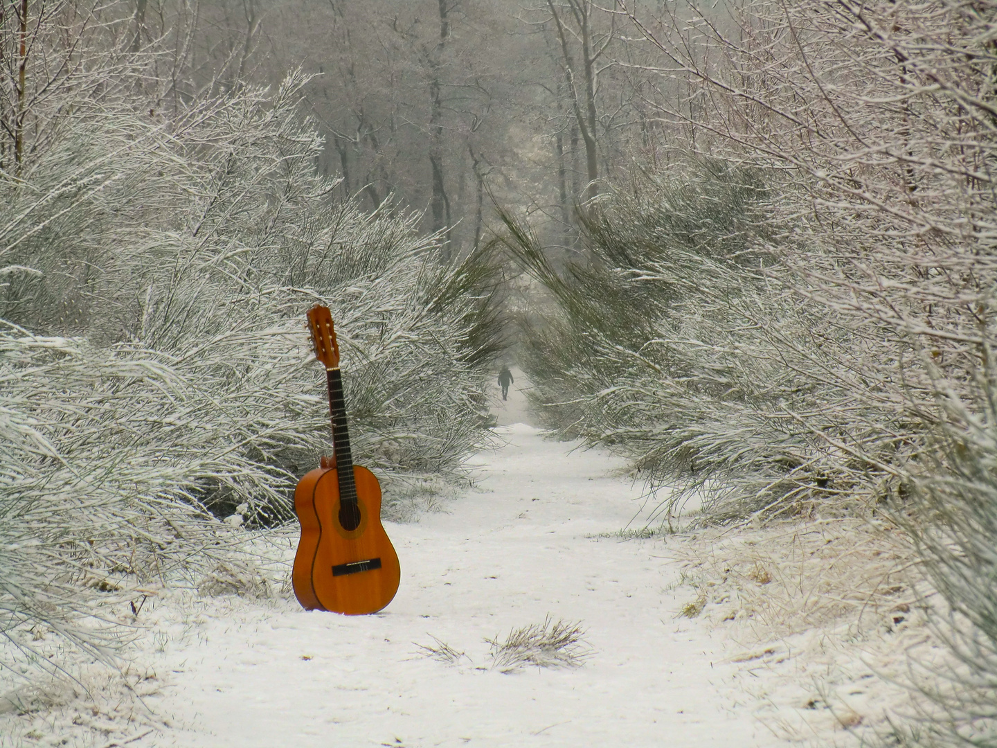 Winterpfad Foto & Bild | erwachsene menschen, kunstfotografie & kultur, projekte Bilder auf ...