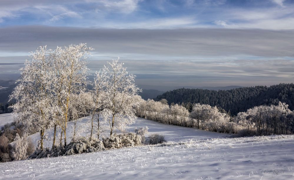 winters end 2 Foto & Bild | deutschland, europe, baden- württemberg ...