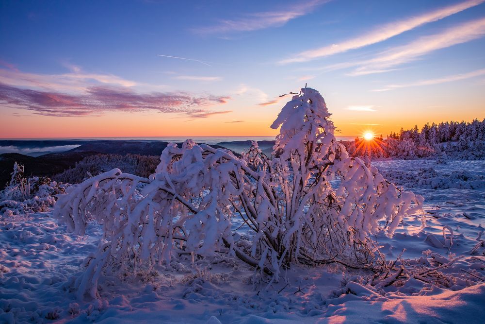Wintersonne Foto & Bild | deutschland, europe, baden- württemberg ...