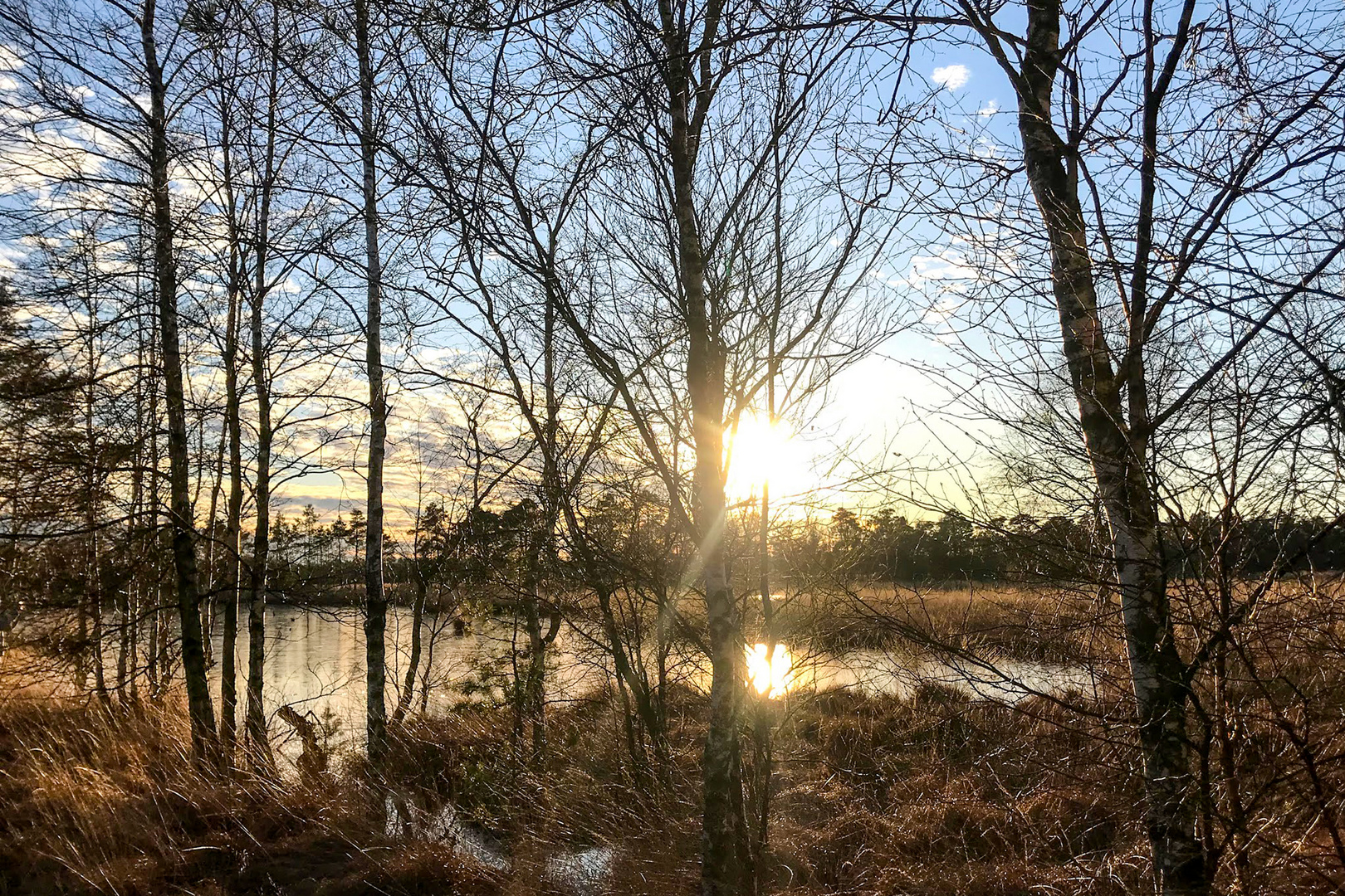 Wintersonne Foto & Bild | outdoor, sonne, natur Bilder auf fotocommunity