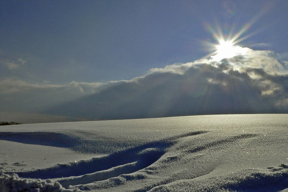 Wintersonne 2 Foto & Bild | jahreszeiten, winter, natur Bilder auf fotocommunity