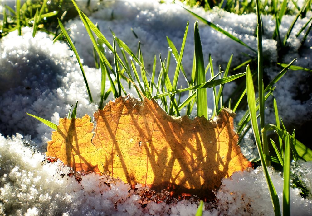 Wintersonne Foto & Bild | fotos, spezial, winter Bilder auf fotocommunity