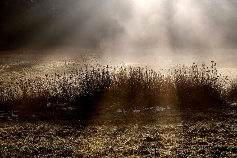 Wintersonne Foto & Bild | landschaft, jahreszeiten, winter Bilder auf fotocommunity