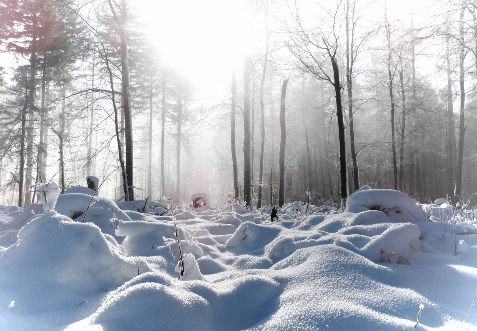Wintersonne Foto & Bild | landschaft, jahreszeiten, winter Bilder auf fotocommunity