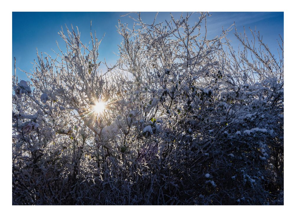 Wintersonne Foto & Bild | jahreszeiten, winter, projekte Bilder auf fotocommunity