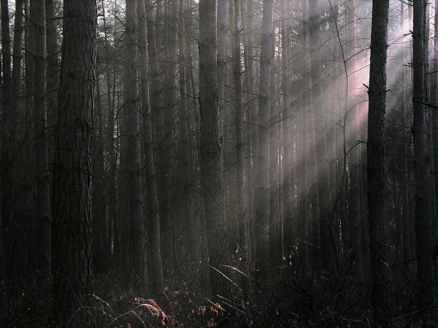 Wintersonne Foto & Bild | landschaft, jahreszeiten, winter Bilder auf fotocommunity