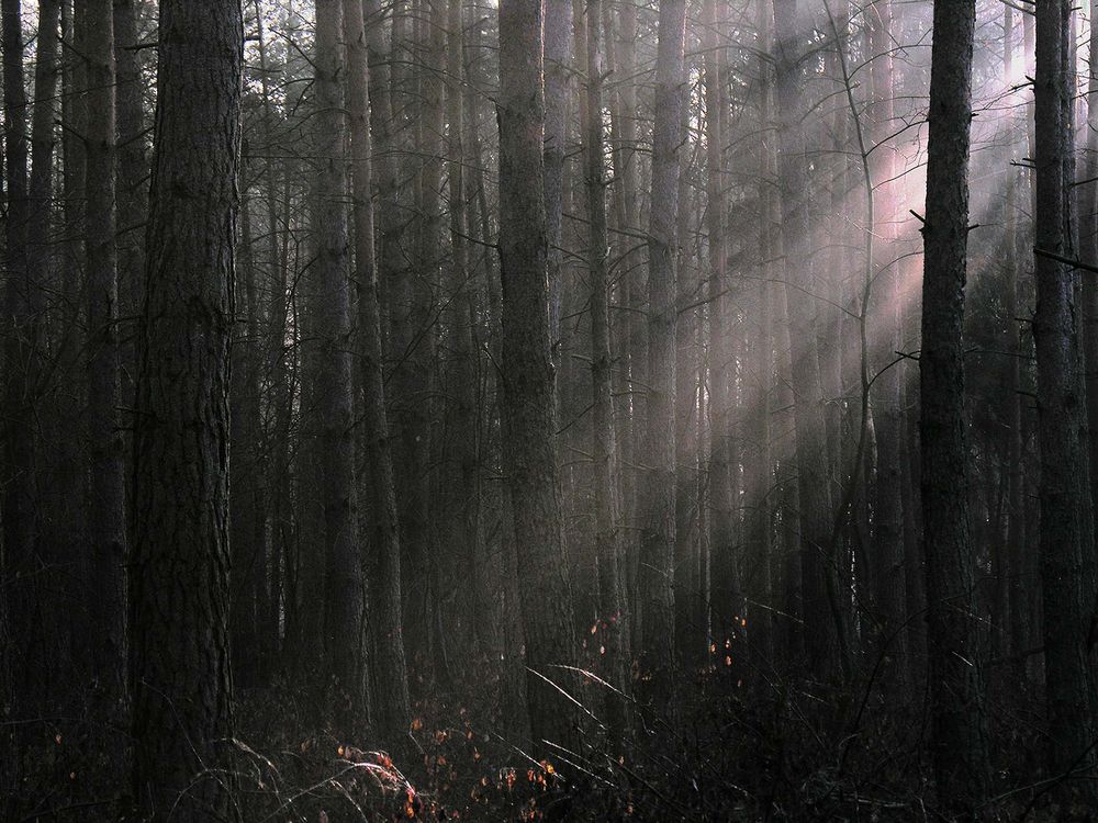 Wintersonne Foto & Bild | landschaft, jahreszeiten, winter Bilder auf fotocommunity