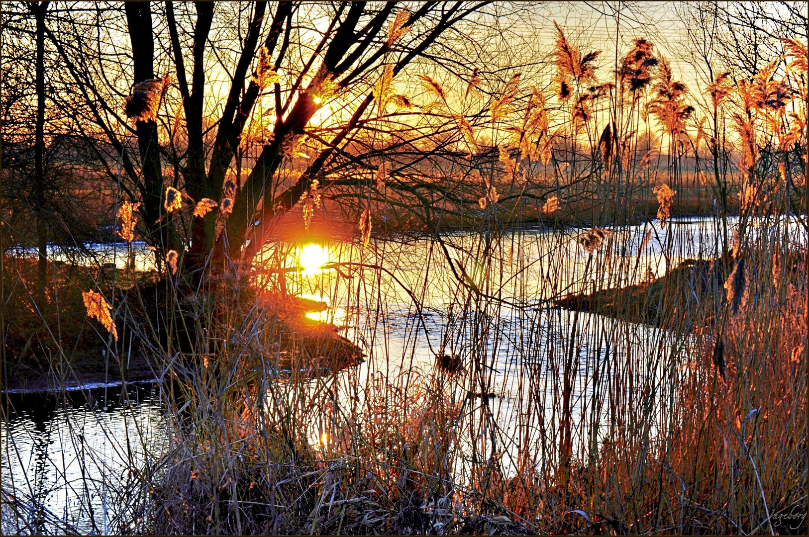 * Wintersonne * Foto & Bild | sonnenuntergang, natur, wintersonne ...