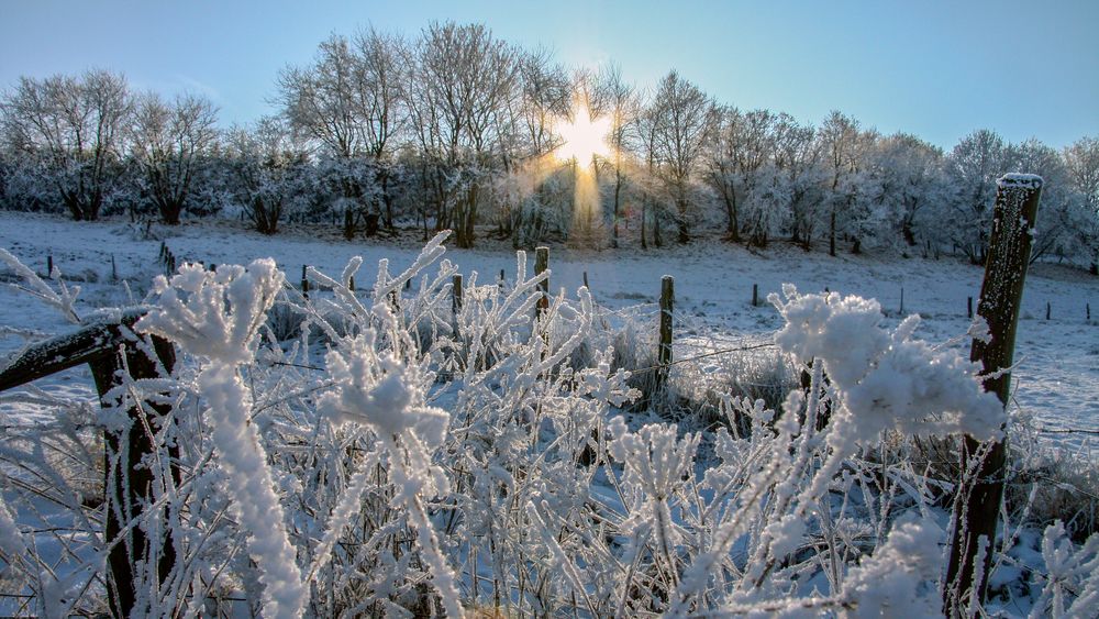 Wintersonne Foto & Bild | winter, natur, landschaft Bilder auf fotocommunity