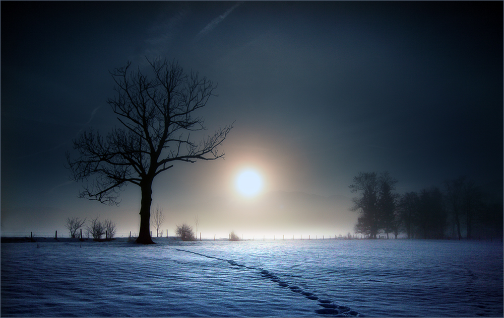 Wintersonne Foto & Bild | jahreszeiten, winter, winterträume Bilder auf fotocommunity