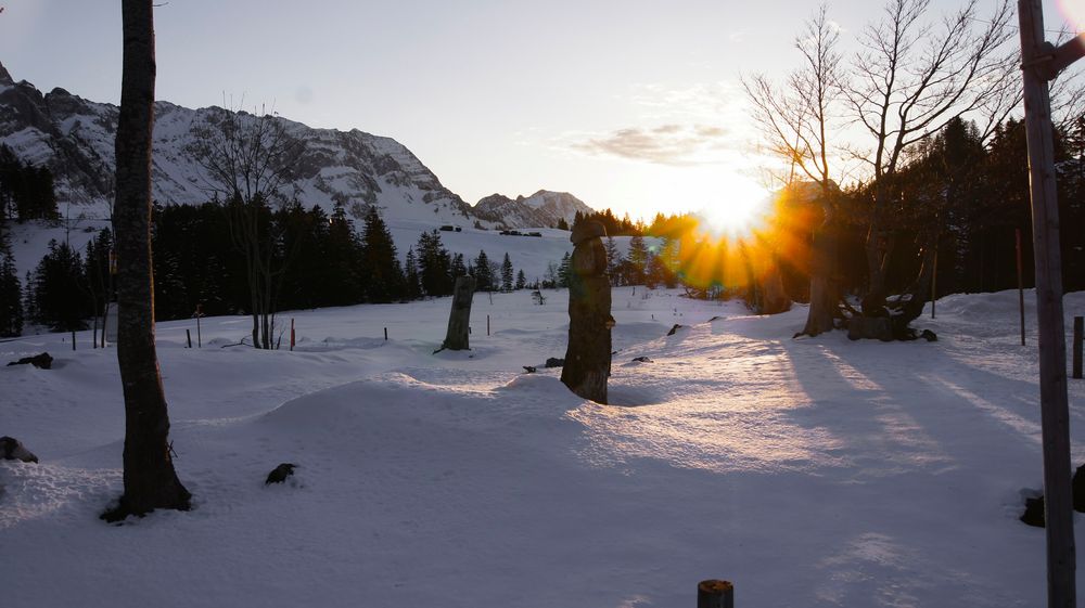 Wintersonne Foto & Bild | jahreszeiten, winter, natur Bilder auf fotocommunity