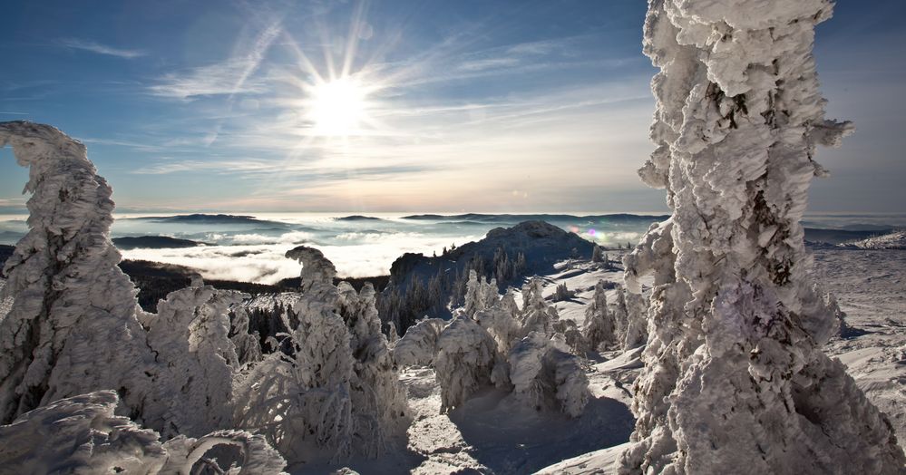 Wintersonne nach dem Schneesturm Foto & Bild | landschaft, archiv ...