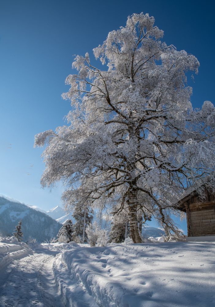 Winterspaziergang Foto & Bild | jahreszeiten, winter, natur Bilder auf fotocommunity
