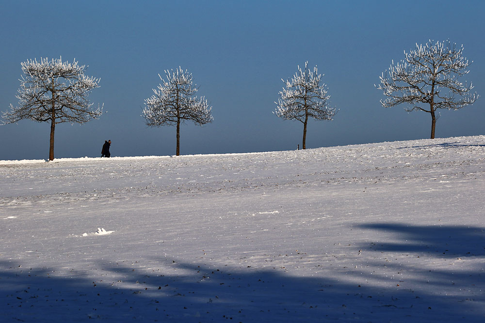 Winterspaziergang, Teil II Foto & Bild | jahreszeiten, winter, blau Bilder auf fotocommunity