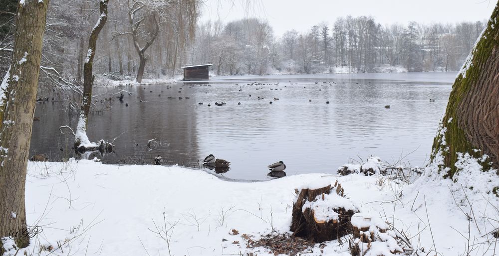 Winterstimmung 2 Foto & Bild | landschaft, jahreszeiten, winter Bilder auf fotocommunity