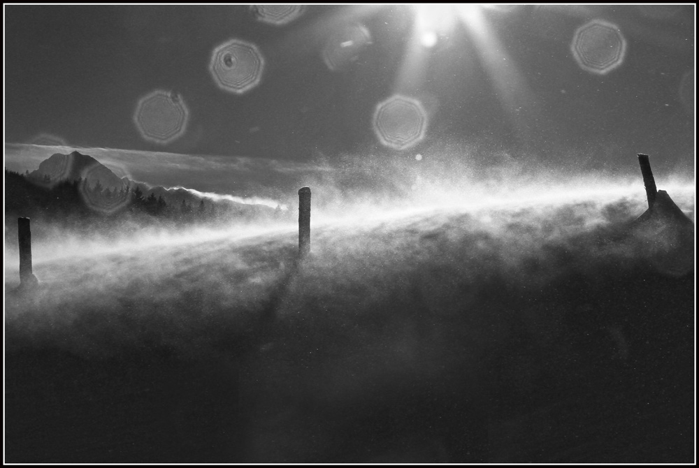 Wintersturm 1 Foto & Bild | jahreszeiten, winter, natur Bilder auf ...