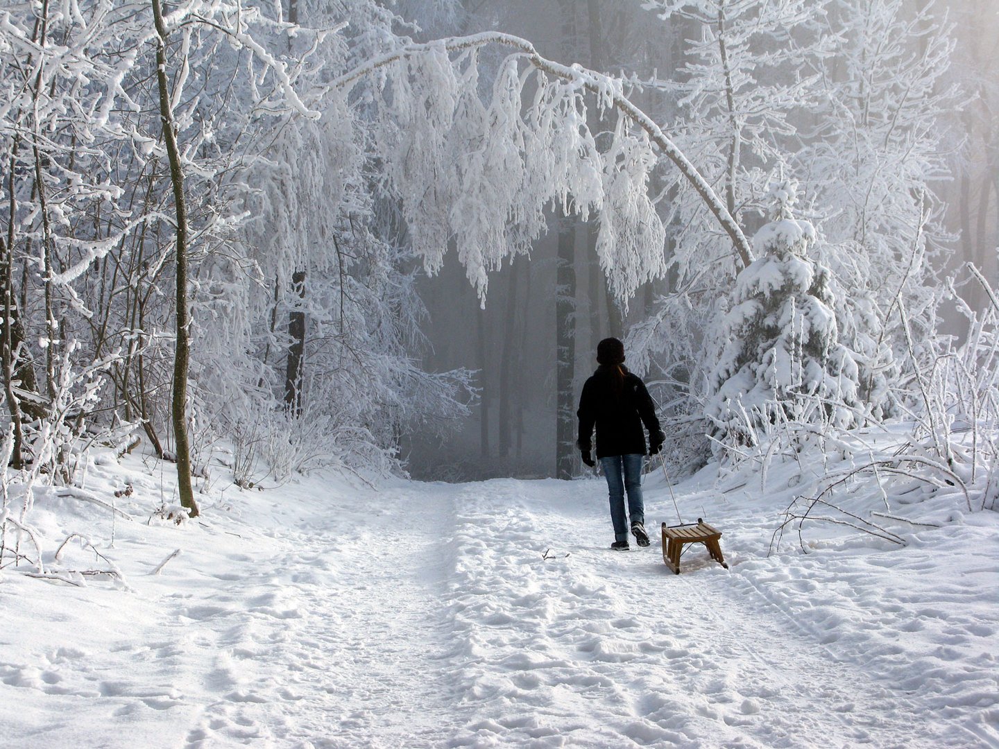 Wintertag Foto & Bild | jahreszeiten, winter, natur Bilder auf ...