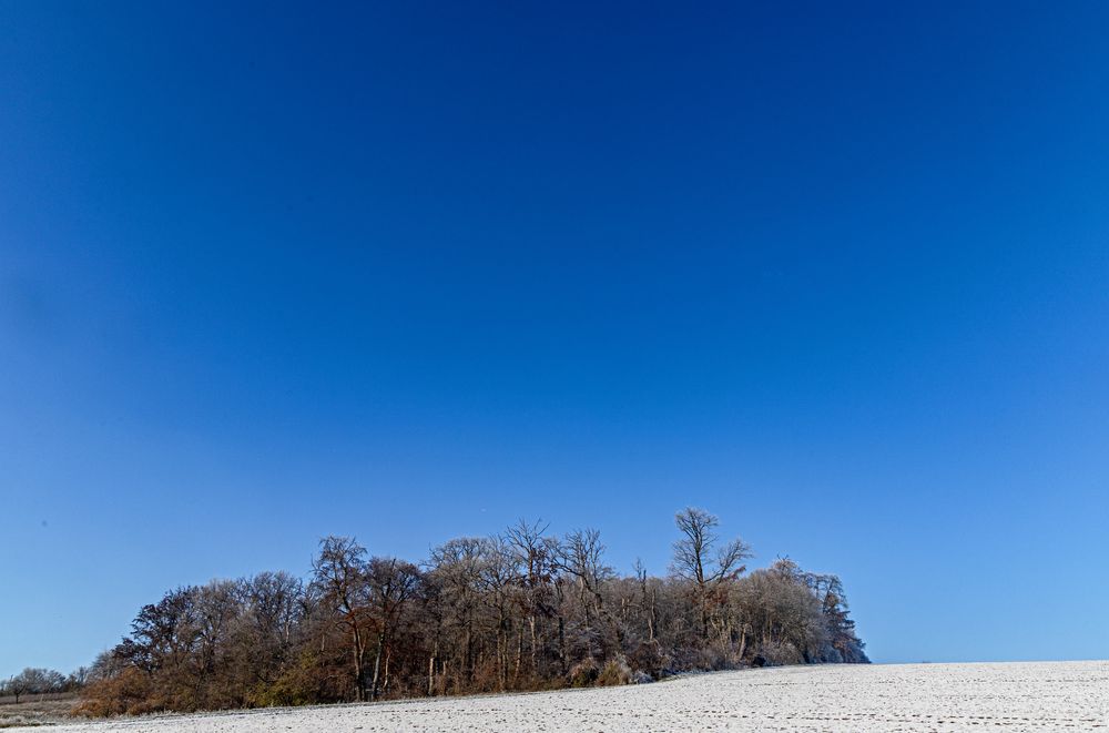 Winterwald Foto & Bild | landschaft, jahreszeiten, winter Bilder auf fotocommunity