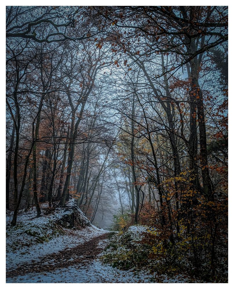 Winterweg Foto & Bild | natur, landschaft, jahreszeiten Bilder auf fotocommunity