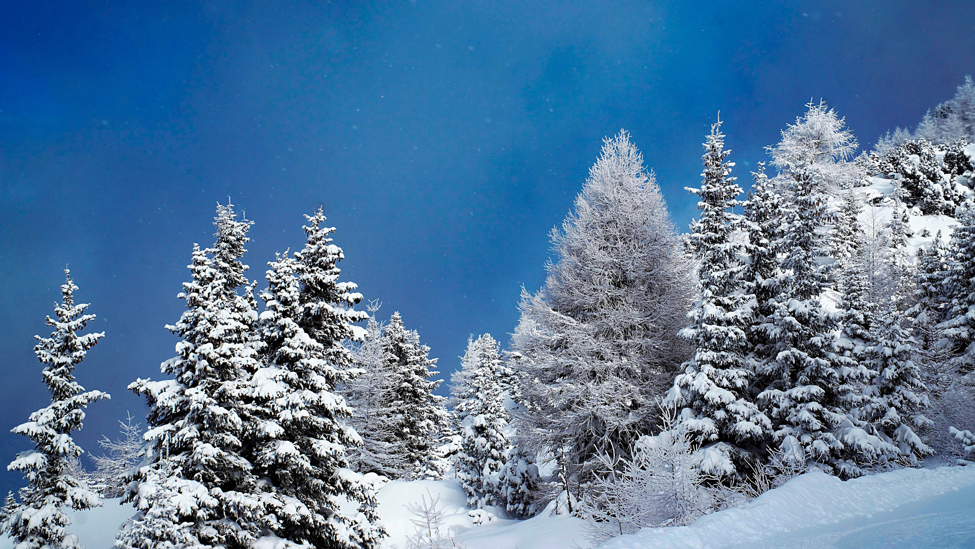 Winterwonderland Foto & Bild | landschaft, jahreszeiten, winter Bilder ... Winterwonderland Foto & Bild | landschaft, jahreszeiten, winter Bilder ...