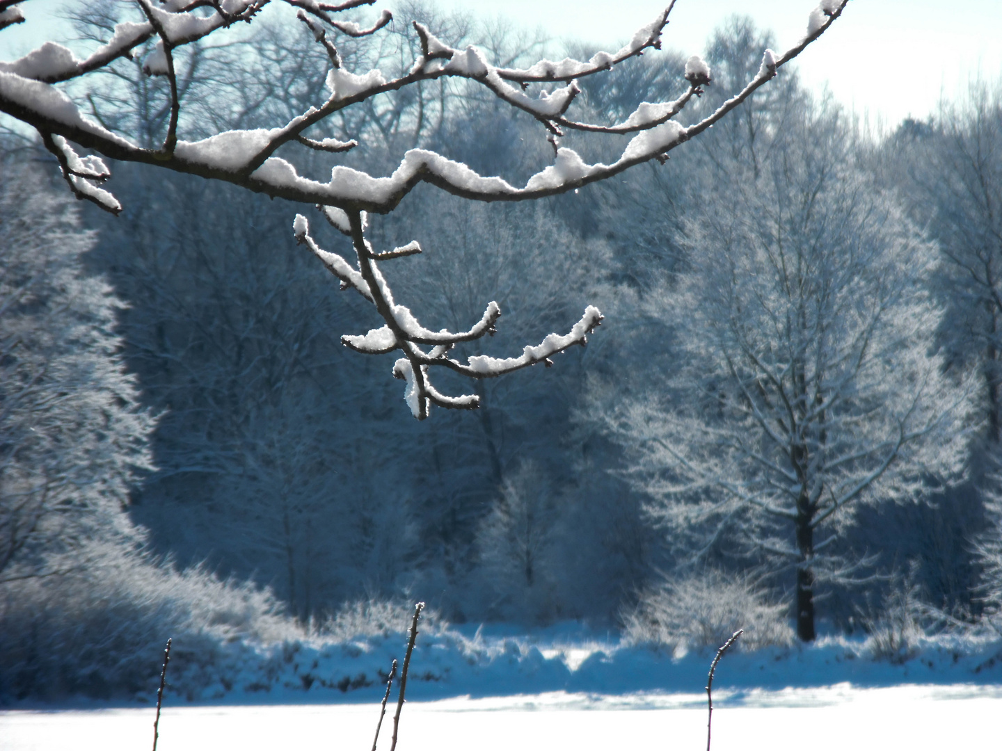 Winterwonderland Foto & Bild | jahreszeiten, winter, natur Bilder auf ... Winterwonderland Foto & Bild | jahreszeiten, winter, natur Bilder auf ...