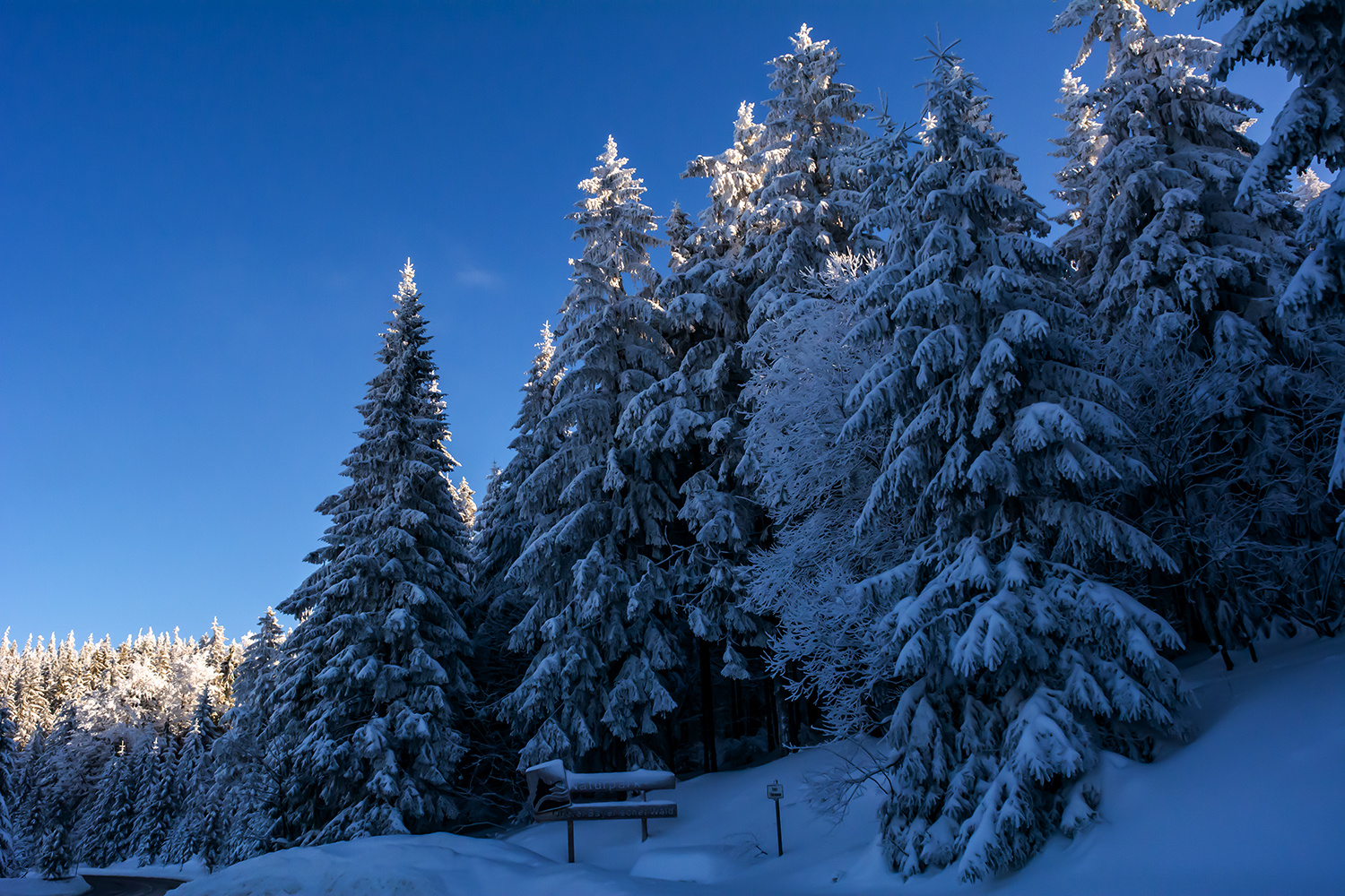 Winterwunderland Foto & Bild | winter, natur, landschaft Bilder auf fotocommunity