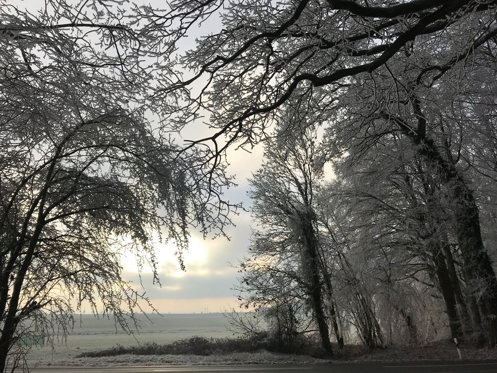 Winterwunderland 1 Foto & Bild | landschaft, jahreszeiten, winter Bilder auf fotocommunity