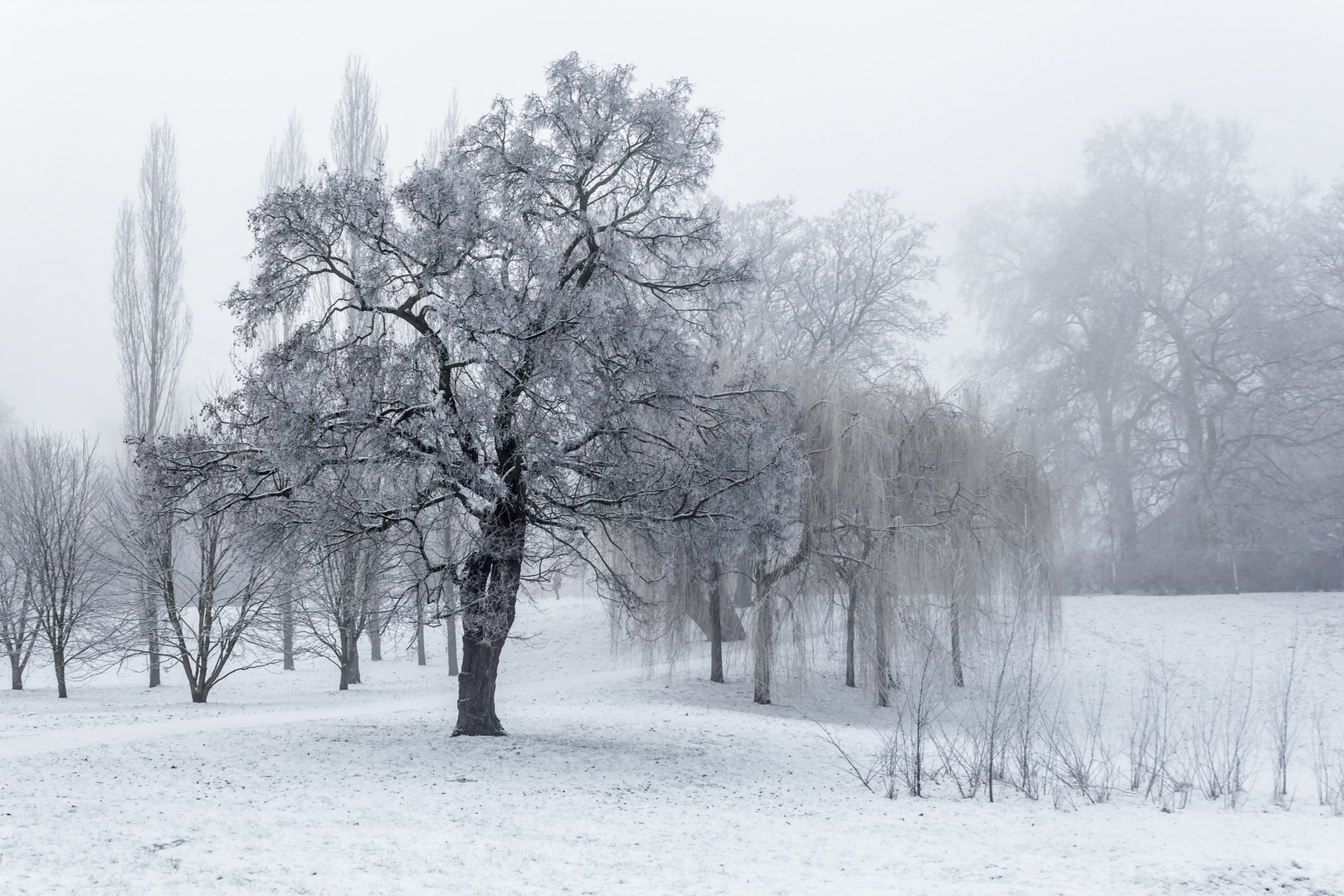 Winterwunderland Foto & Bild | jahreszeiten, winter, kalt Bilder auf fotocommunity