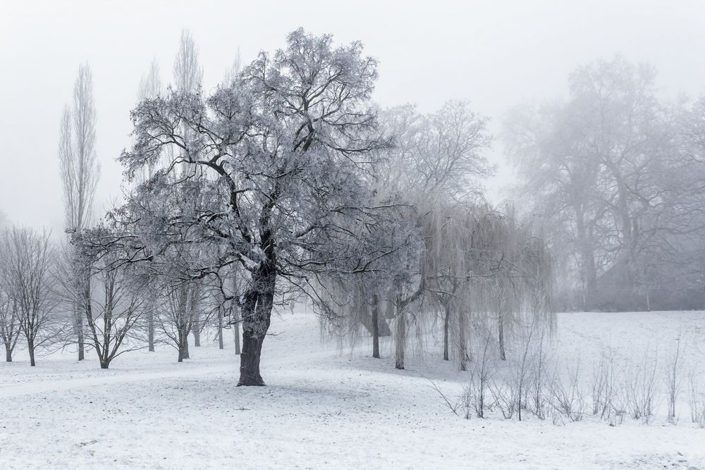 Winterwunderland Foto & Bild | jahreszeiten, winter, kalt Bilder auf fotocommunity