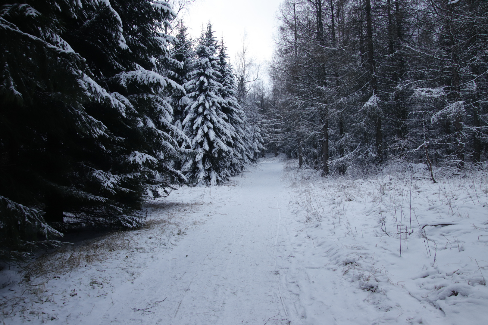 Winterwunderland Foto & Bild | jahreszeiten, winter, fotos Bilder auf fotocommunity