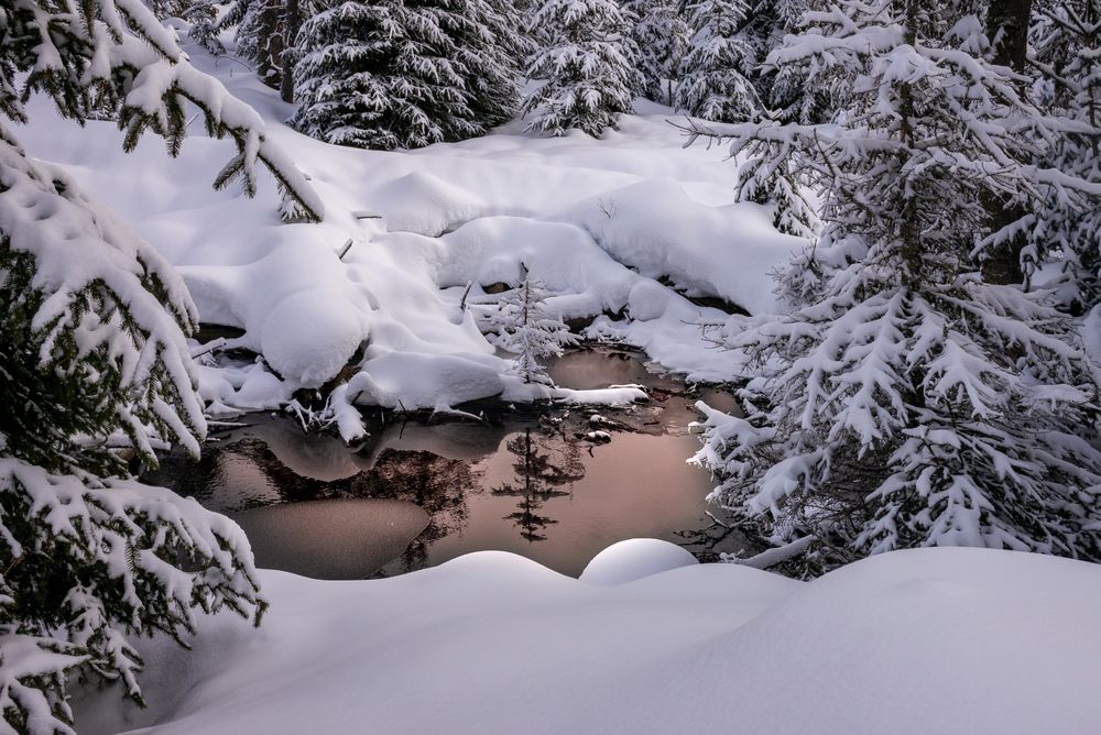 Winterwunderland Foto & Bild | fotos, world, wald Bilder auf fotocommunity