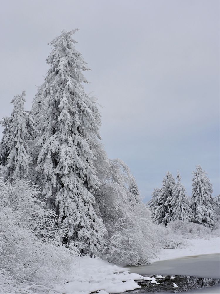"Winterwunderland" Foto & Bild | jahreszeiten, winter, landschaft Bilder auf fotocommunity
