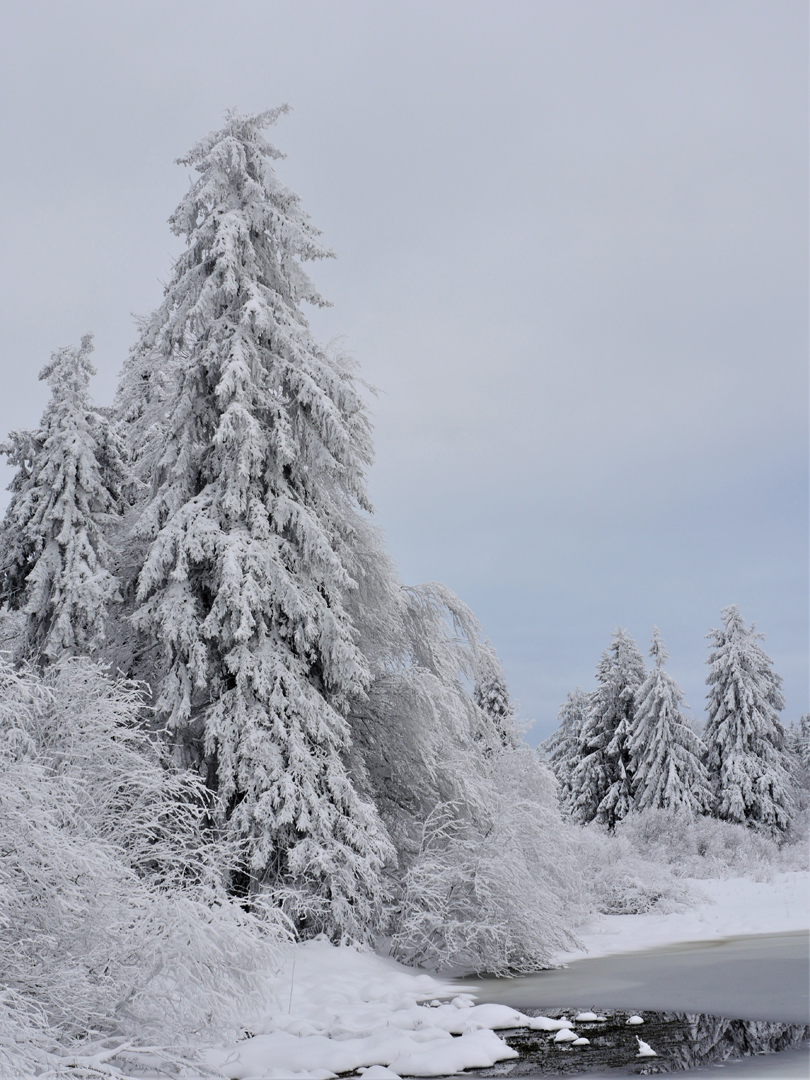 "Winterwunderland" Foto & Bild | jahreszeiten, winter, landschaft Bilder auf fotocommunity