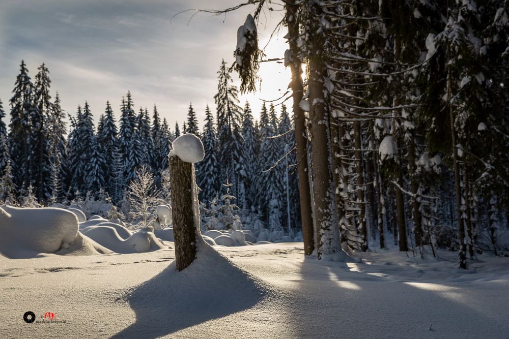 Winterwunderland.... Foto & Bild | jahreszeiten, winter, landschaft Bilder auf fotocommunity