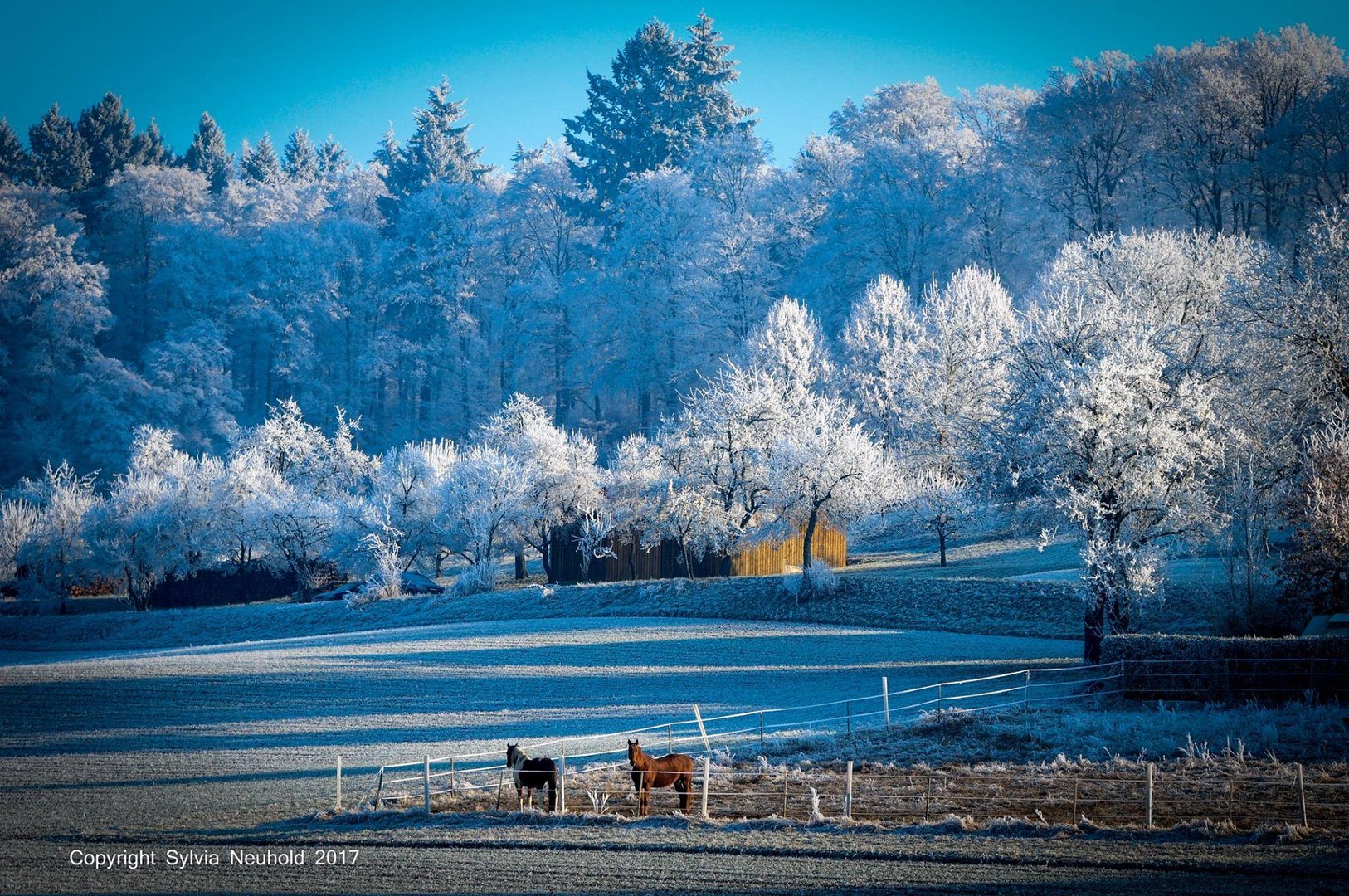 Winterwunderland Foto & Bild | natur Bilder auf fotocommunity