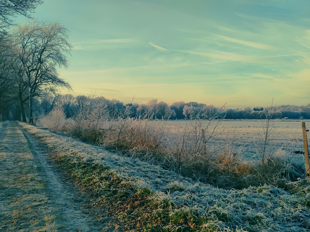 Winterwunderland Foto & Bild | winter, feld, himmel Bilder auf fotocommunity