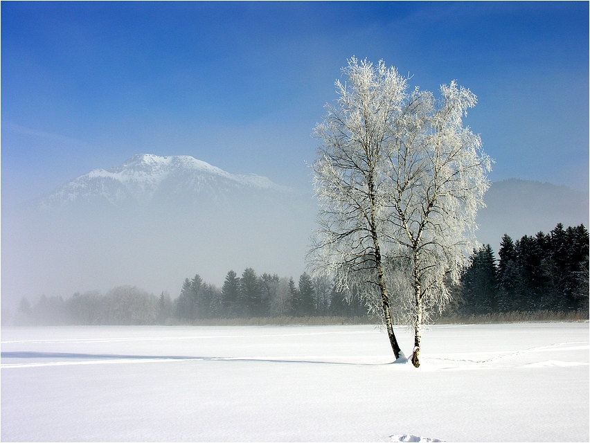 Winterwunderland Foto & Bild | jahreszeiten, winter, natur Bilder auf fotocommunity