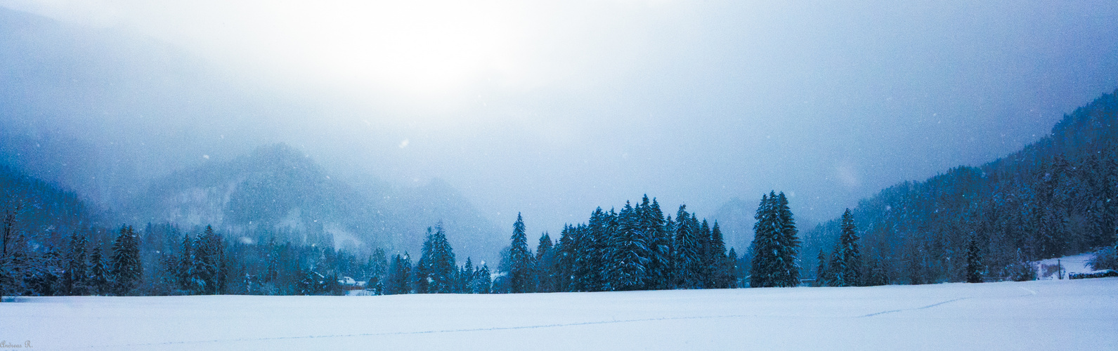 winterwunderland Foto & Bild | pflanzen, pilze & flechten, jahreszeiten, winter Bilder auf ...