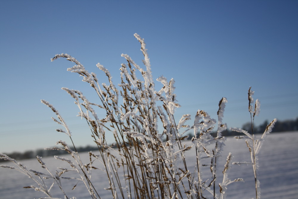 Winterwunderland Foto & Bild | jahreszeiten, winter, natur Bilder auf fotocommunity