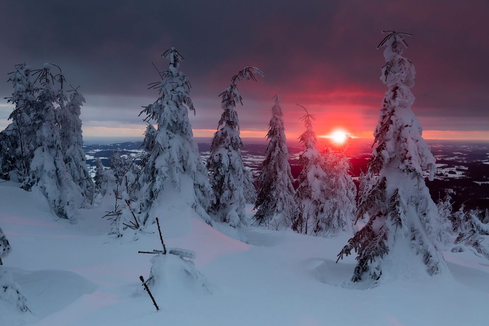 Winterwunderland Foto & Bild | sonnenuntergang, wald, winter Bilder auf fotocommunity