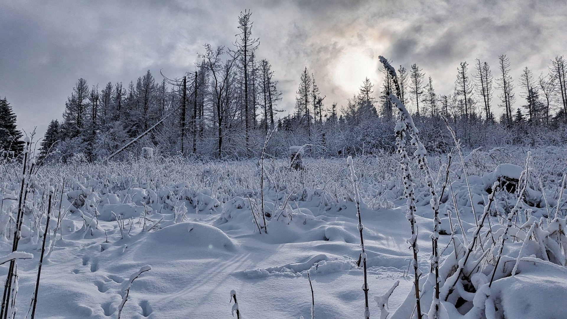 Winterwunderland.... Foto & Bild | pflanzen, pilze & flechten, landschaft, jahreszeiten Bilder ...