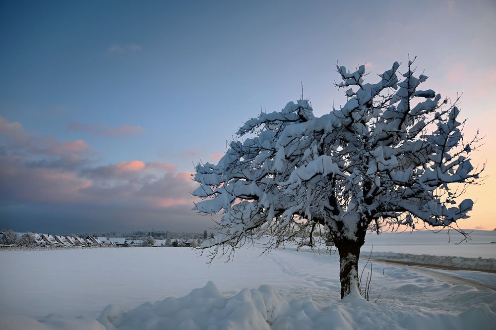 Winterwunderland Foto & Bild | sonnenuntergang, winter, schnee Bilder auf fotocommunity