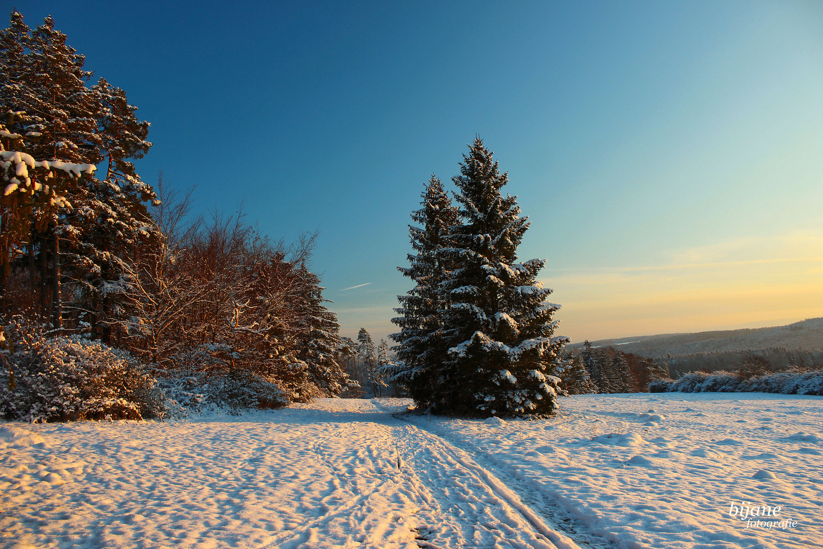 Winterwunderland Foto & Bild | landschaft, jahreszeiten, winter Bilder auf fotocommunity