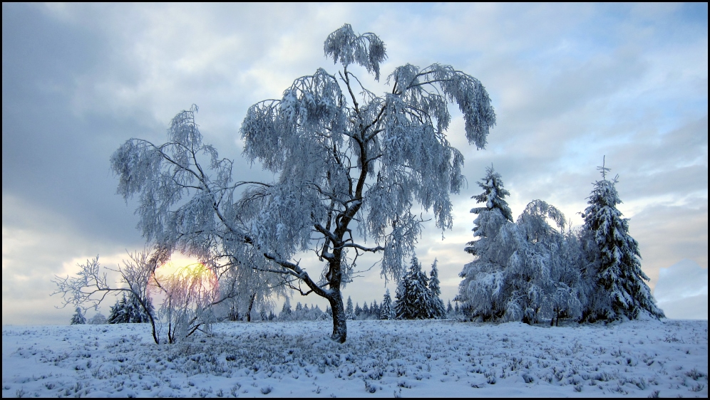 winterwunderland... Foto & Bild | fotomontage, landschaften, digiart Bilder auf fotocommunity